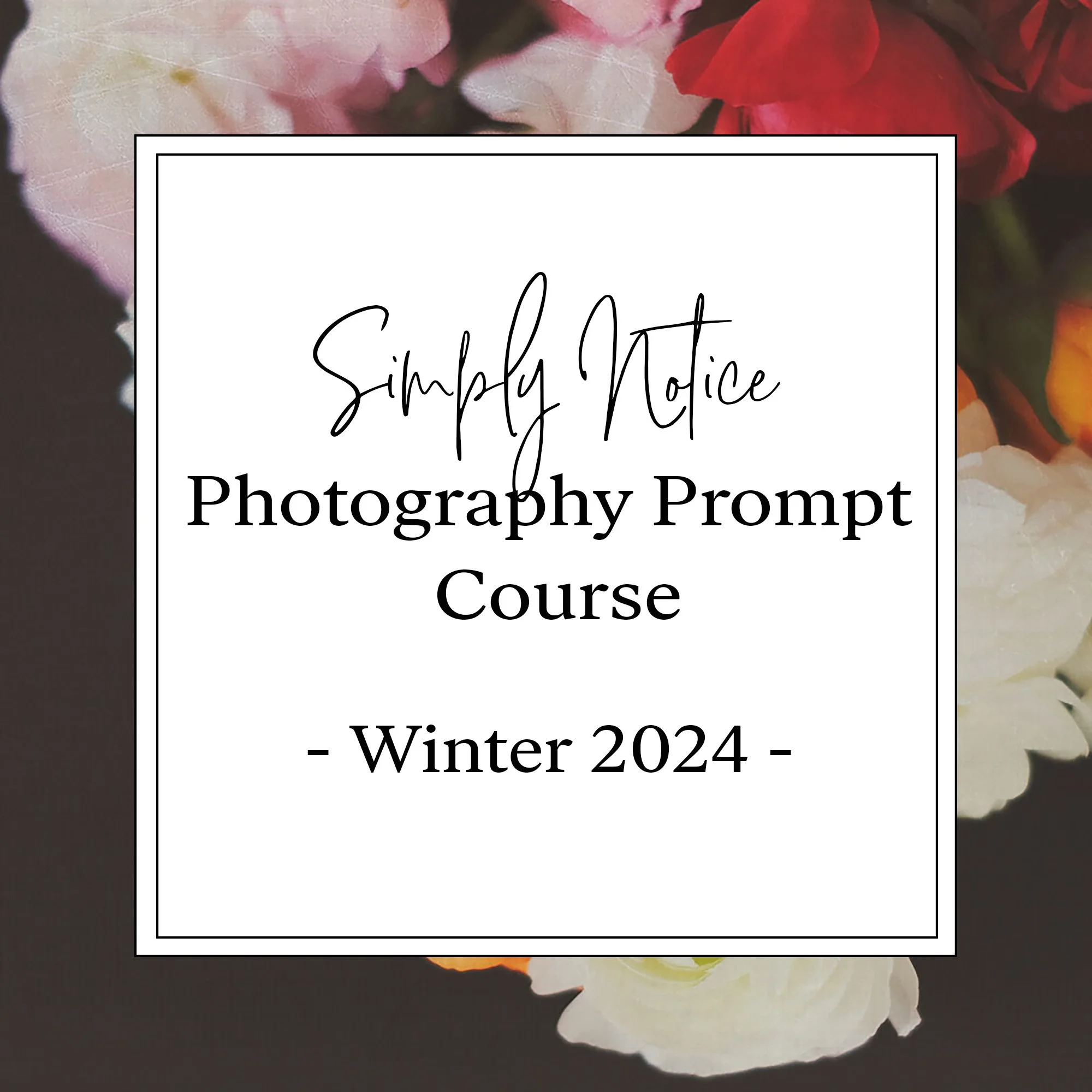 Simple Notice Photography Prompt Course