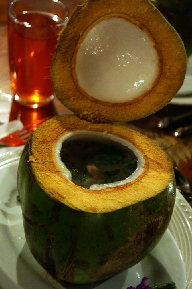 Qigong in Costa Rica at La Montana Azul — The Curious Coconut