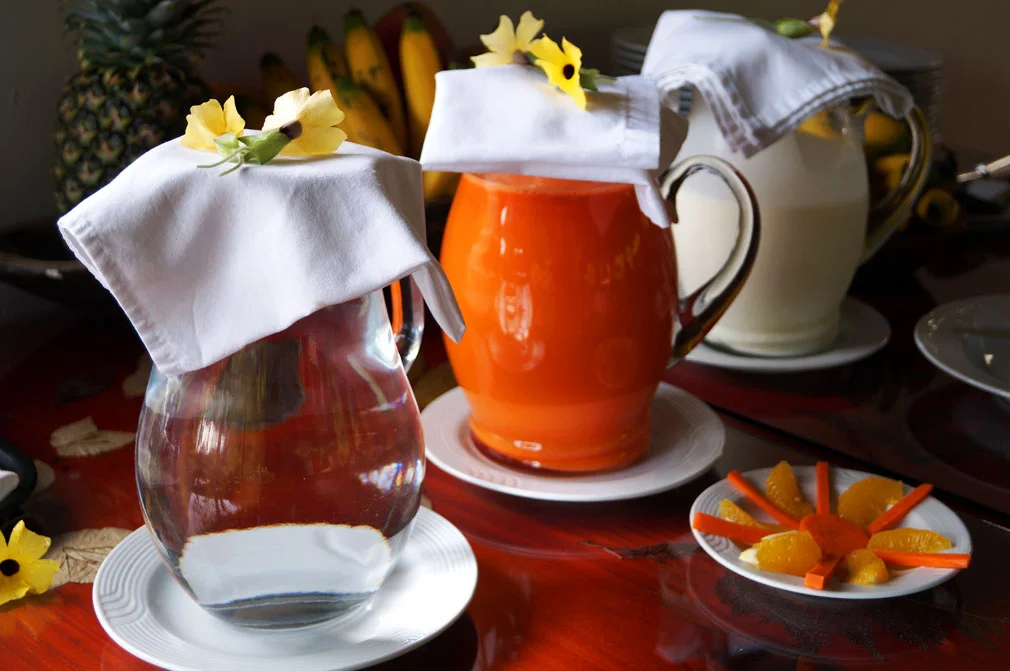 Qigong in Costa Rica at La Montana Azul — The Curious Coconut