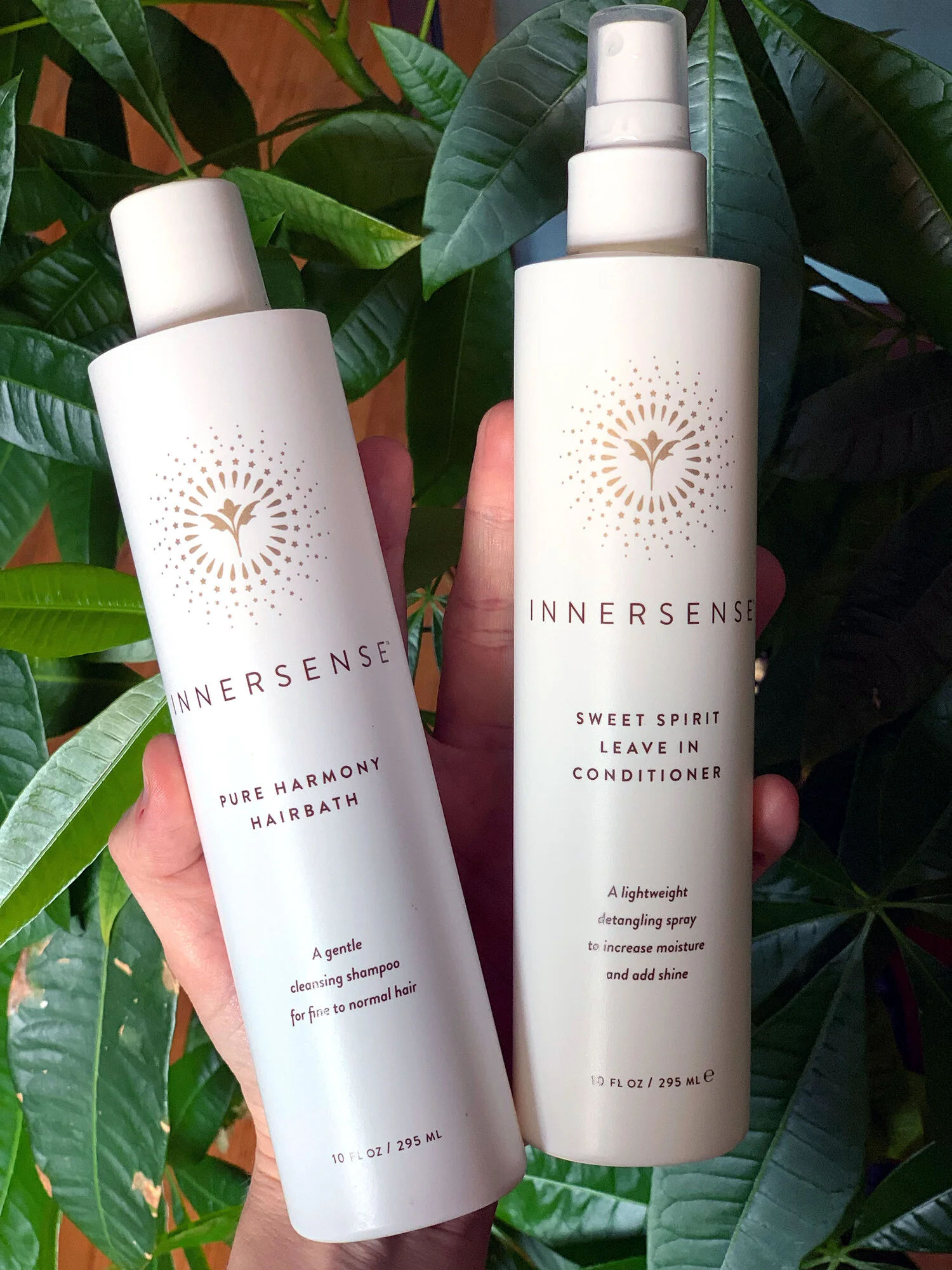 Innersense — The Curious Coconut