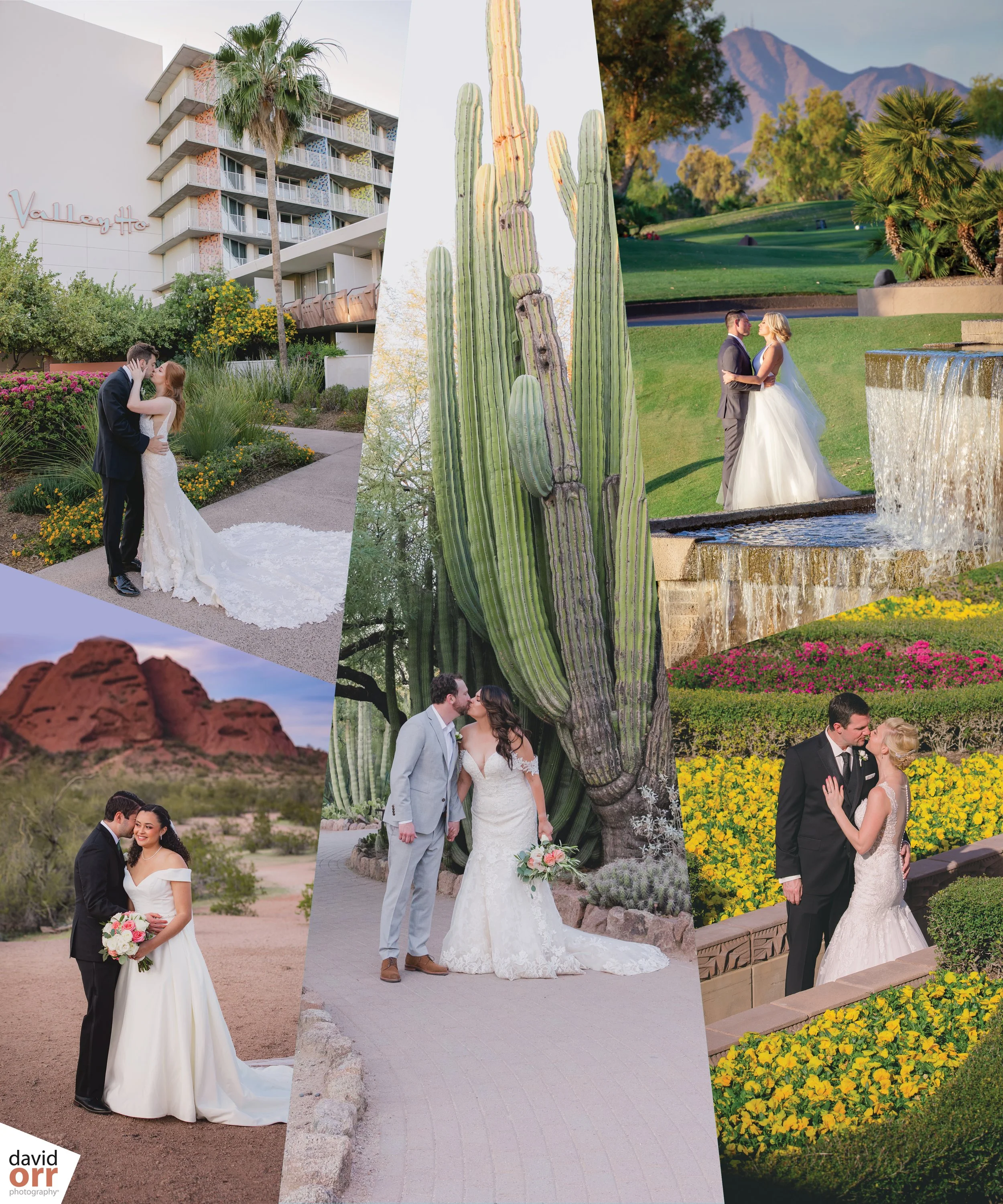 Beautiful Arizona Weddings Captured by Phoenix and Scottsdale ...