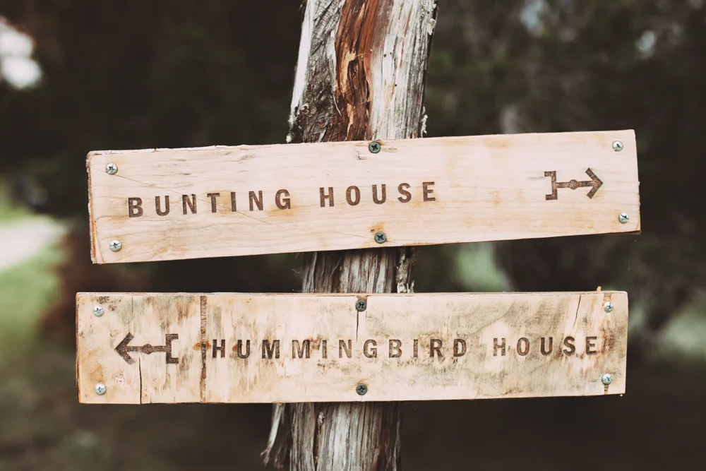 lauren & jeffrey — Lauren Apel Photo