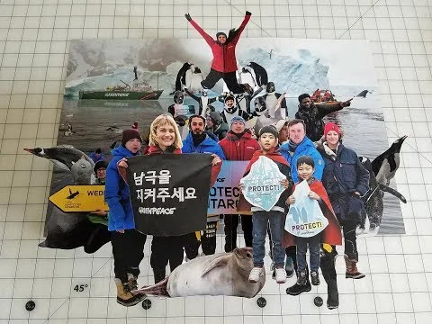 Colette Fu Pop-up Books