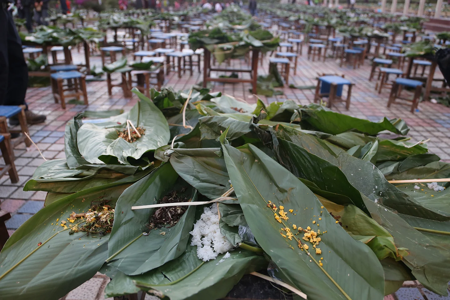 Colette Fu Pop-up Books