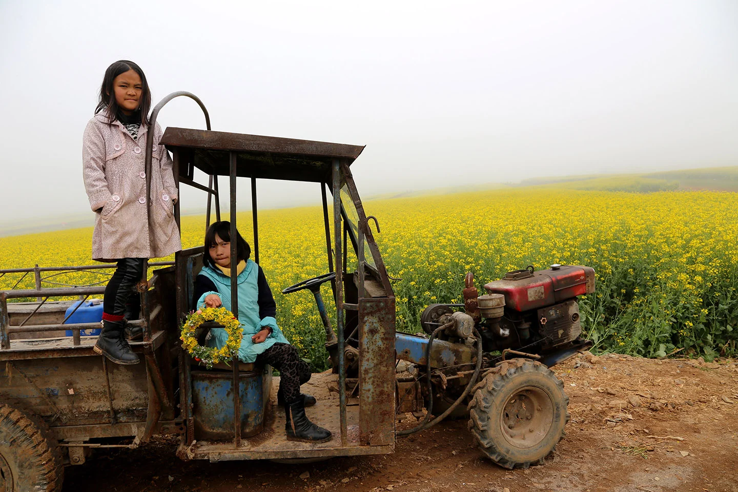 Colette Fu Pop-up Books