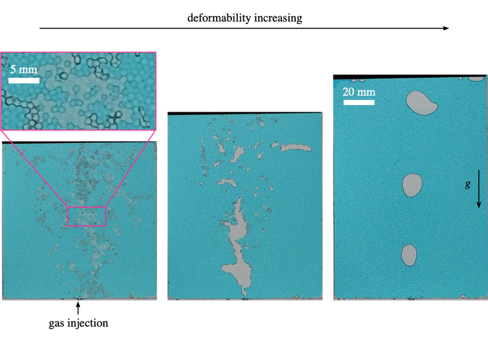 Deformable porous media — Poromechanics Lab