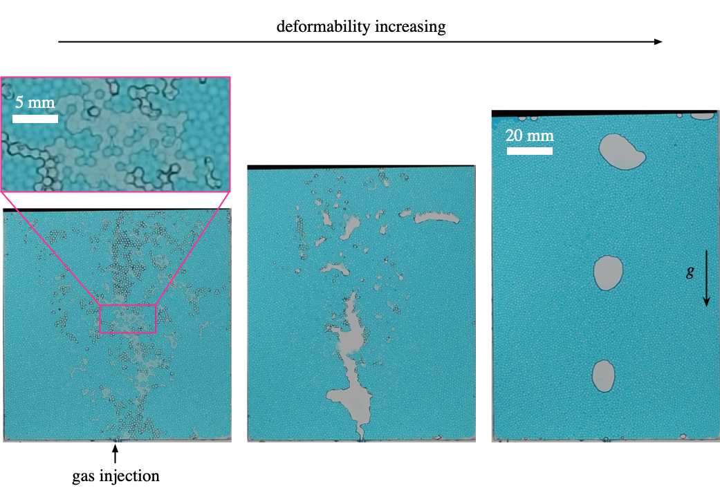 Deformable porous media — Poromechanics Lab