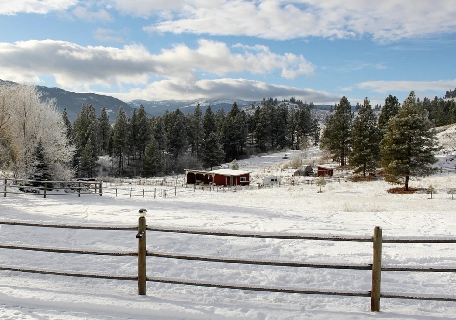 Blog — Red Dot Gallery