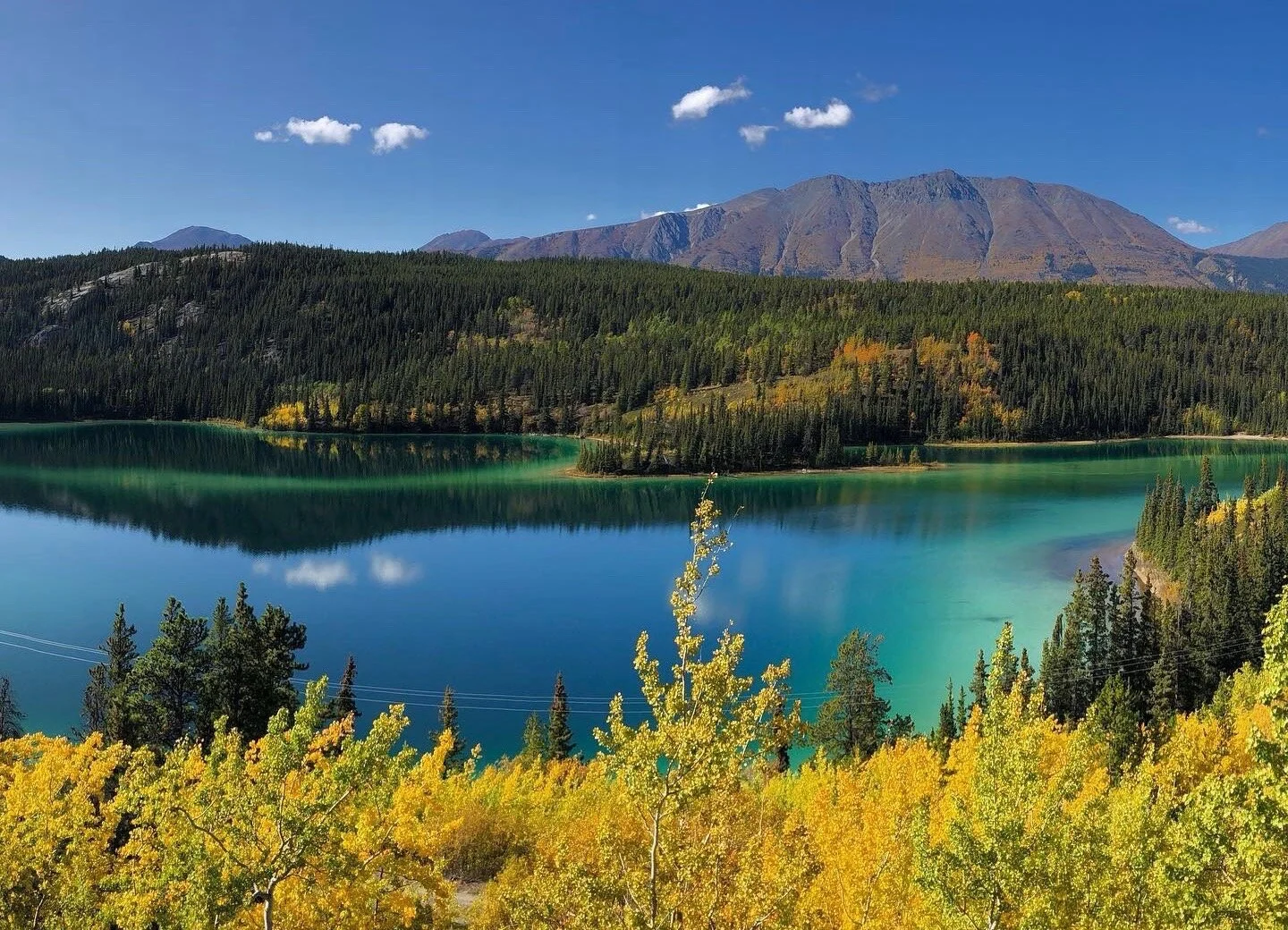 Landscape Vistas — Red Dot Gallery