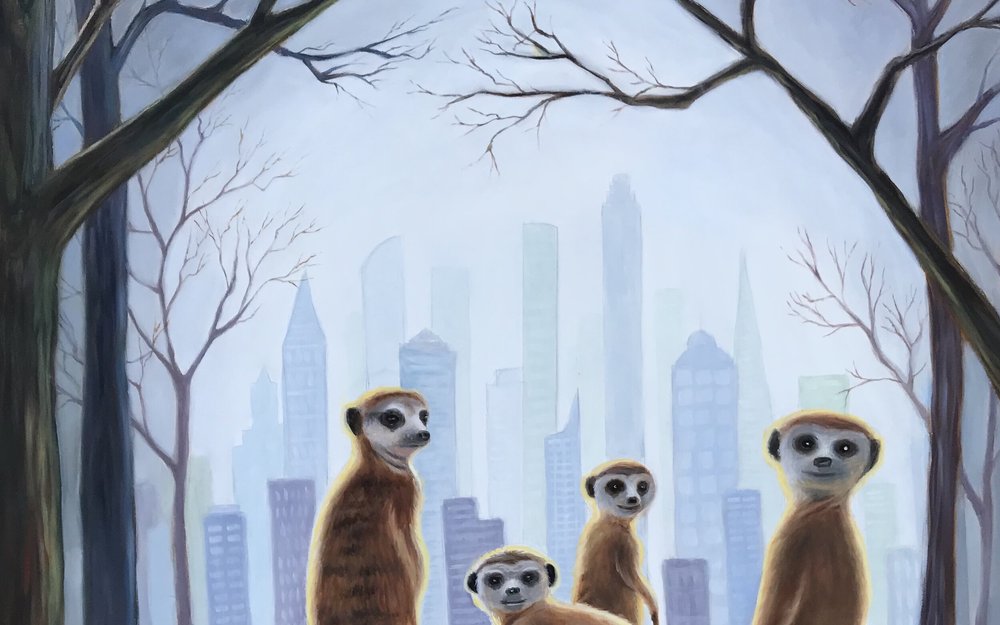 Shop — Red Dot Gallery