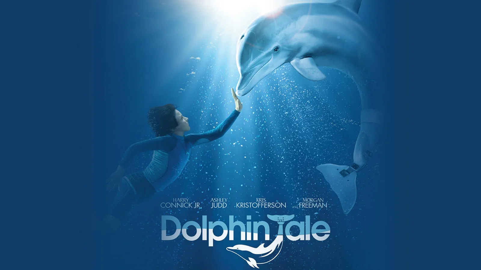 Dolphin Tale Wallpaper