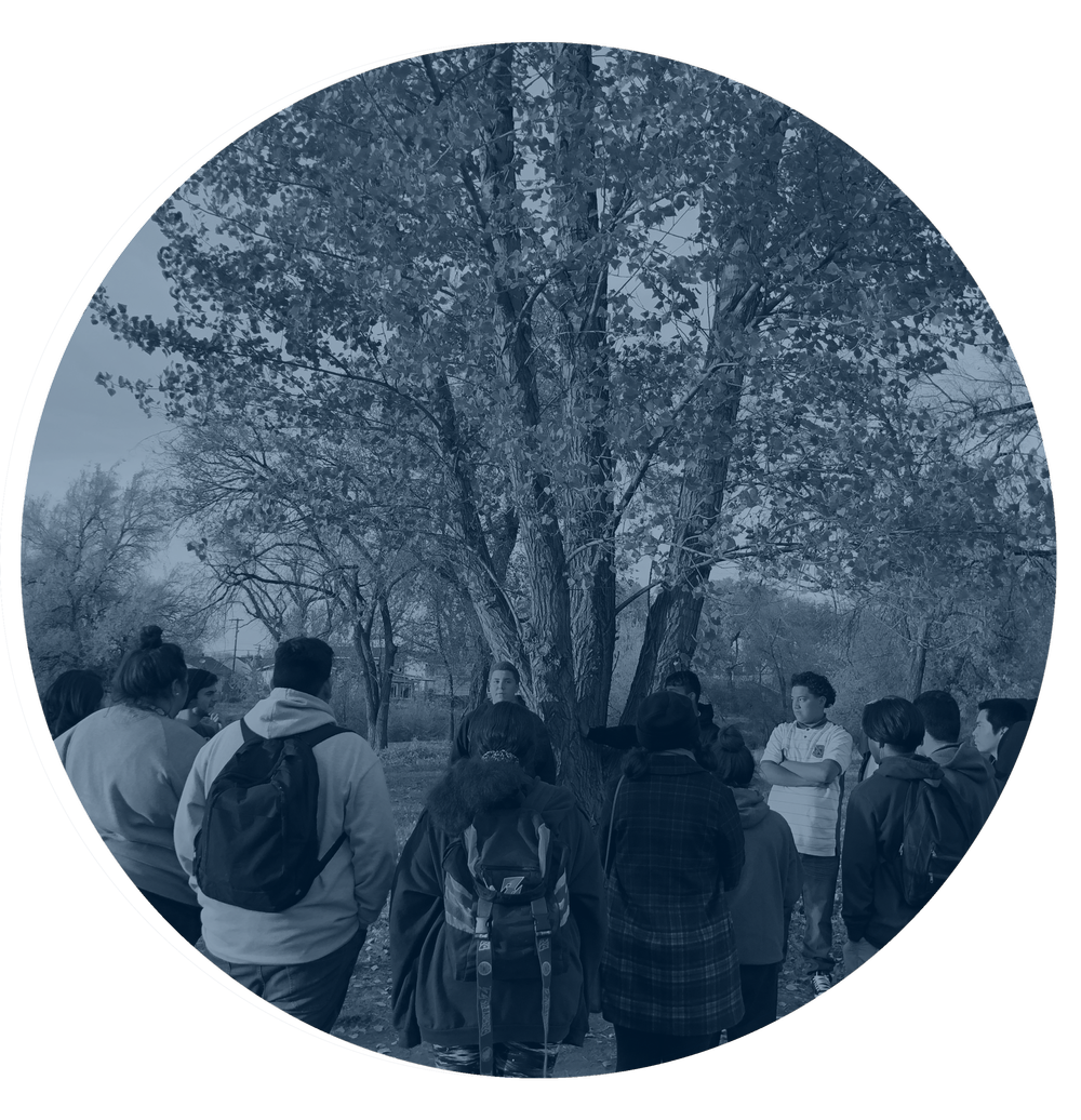 The Center for the Living City