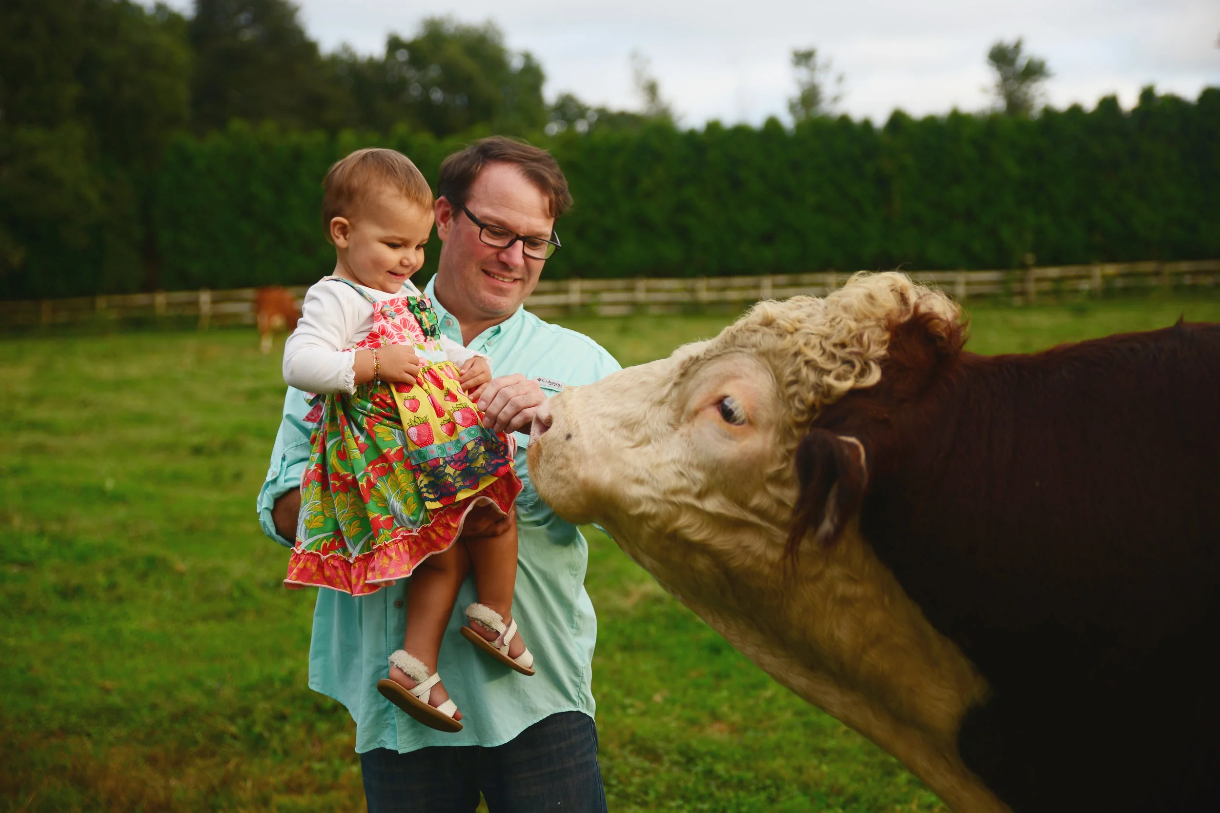 Katie Nemeth Photography