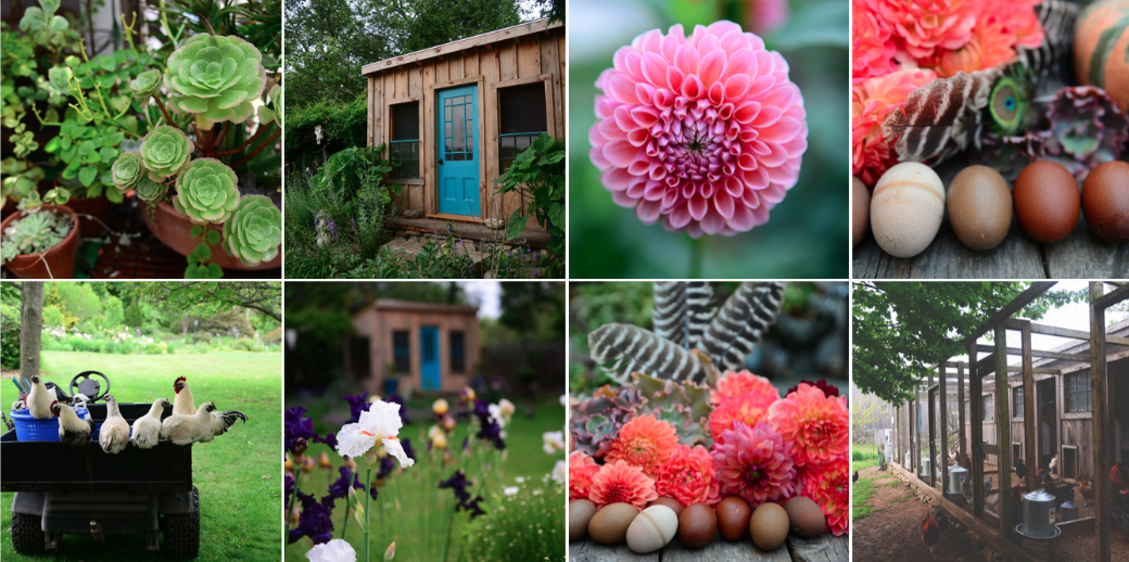 Katie Nemeth Photography