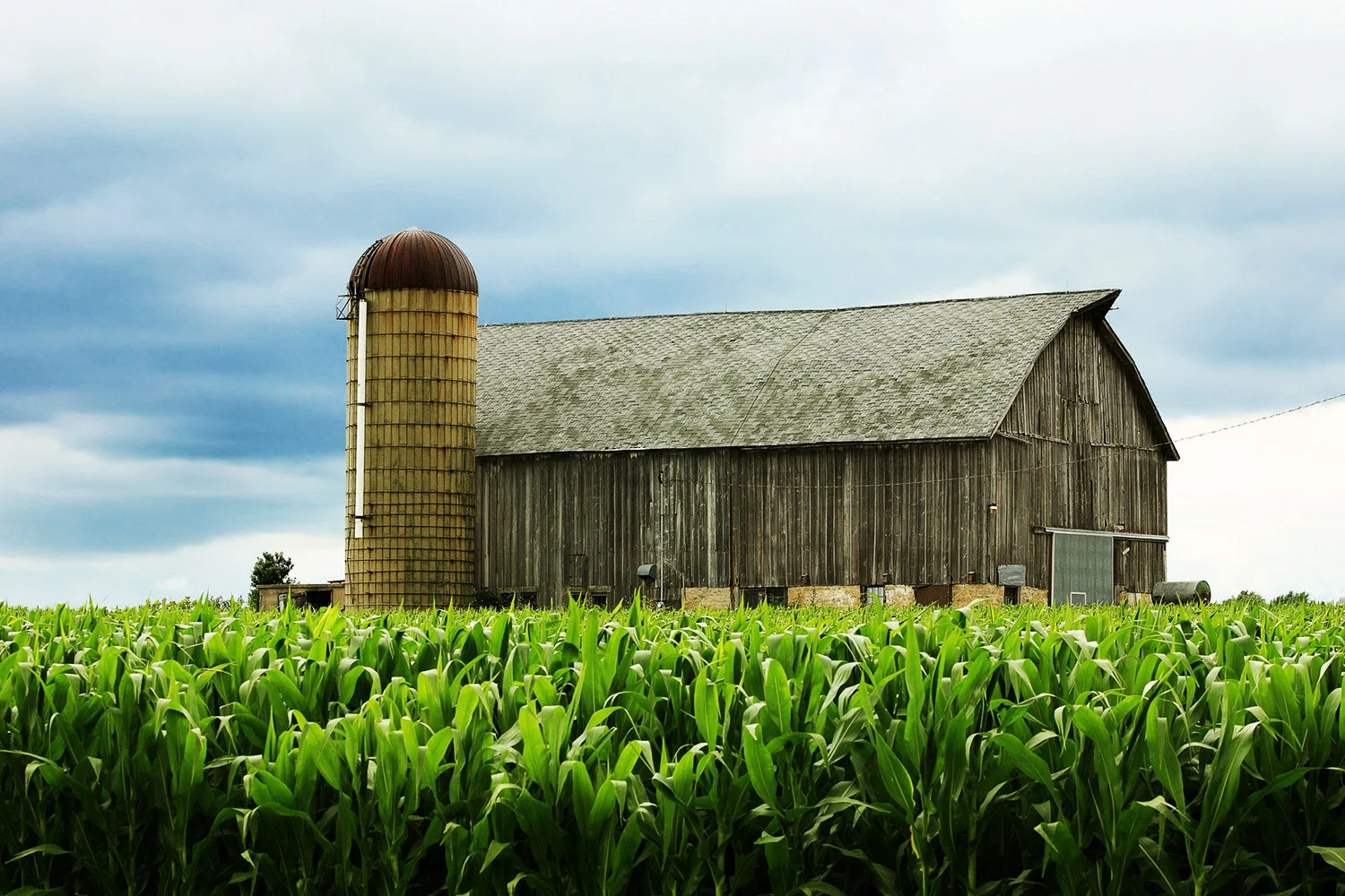 Montana Photography, Agriculture Photography, and Cowboy Photography by ...