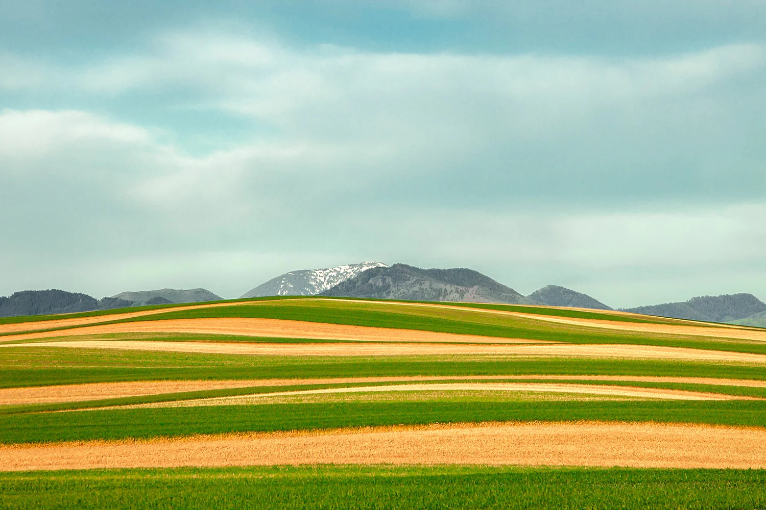 Montana Photography, Agriculture Photography, and Cowboy Photography by ...