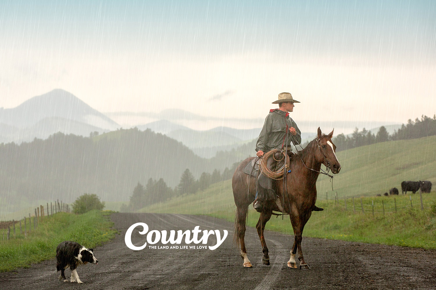 Country Life Photography