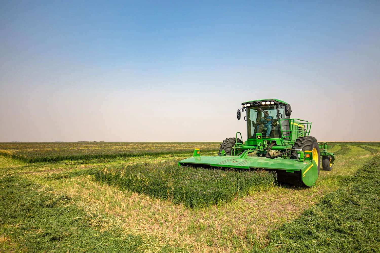 Swath of Hay - Todd Klassy Photography