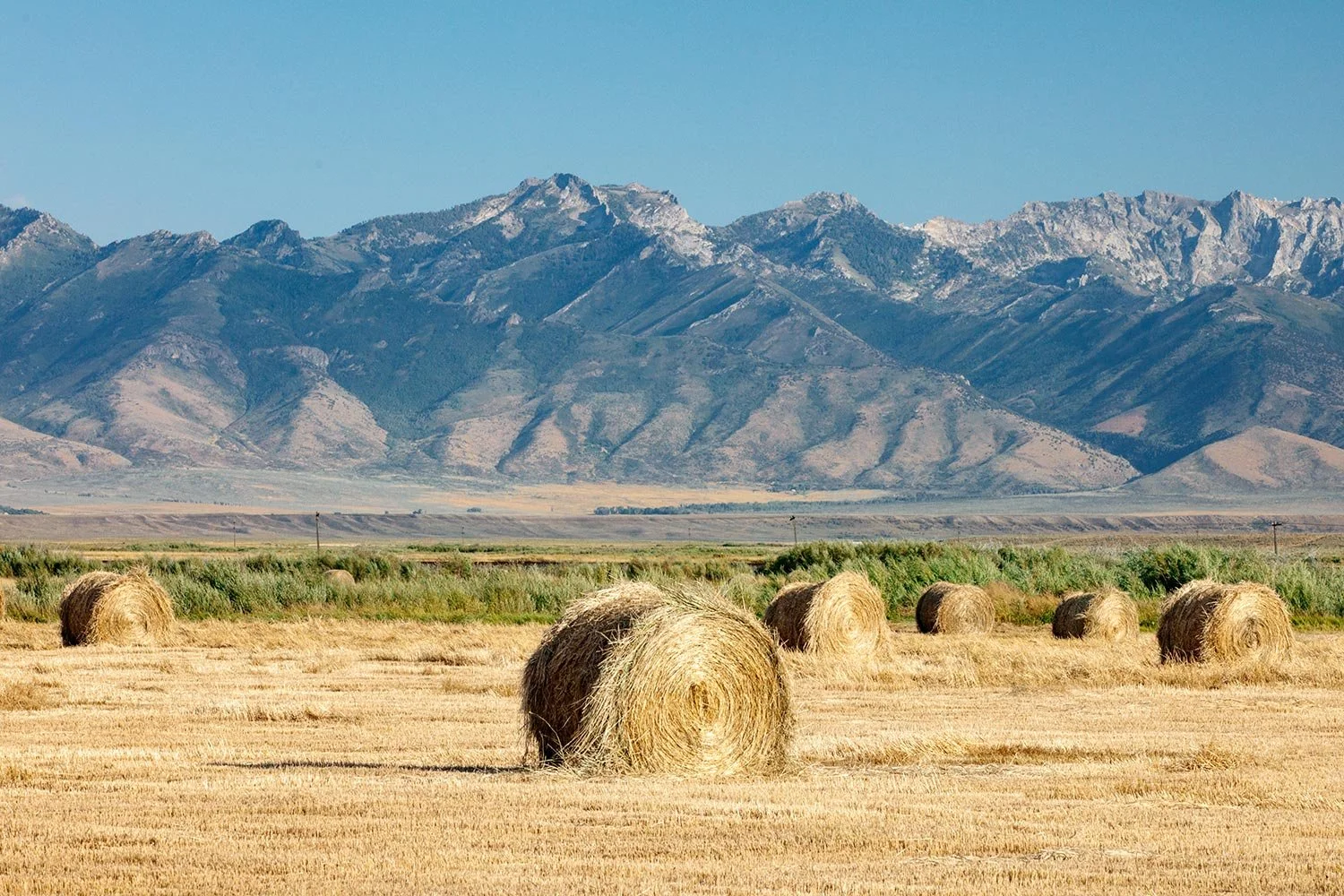Montana Photography, Agriculture Photography, and Cowboy Photography by ...