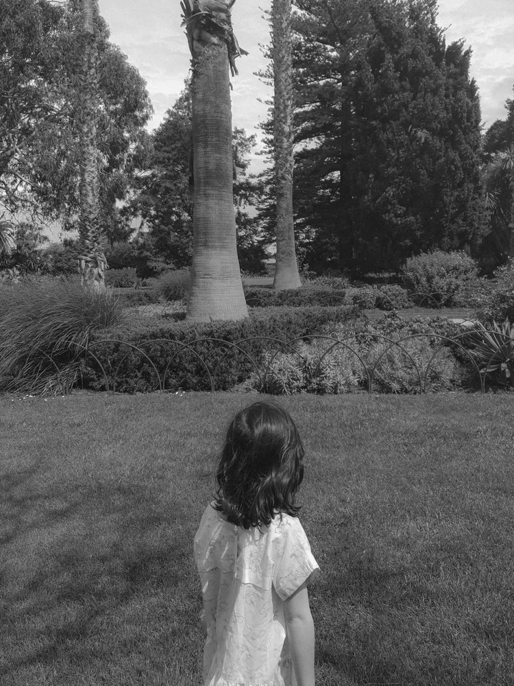 Remote Shooting Guide — AP