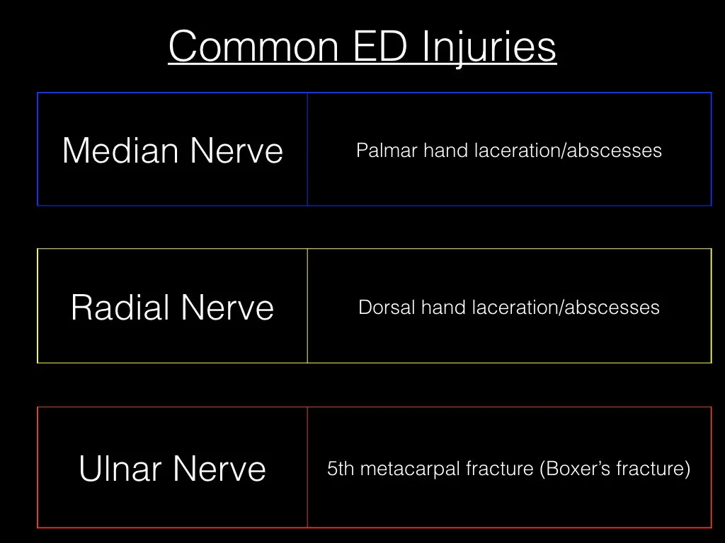 Forearm blocks — Highland EM Ultrasound Fueled pain management