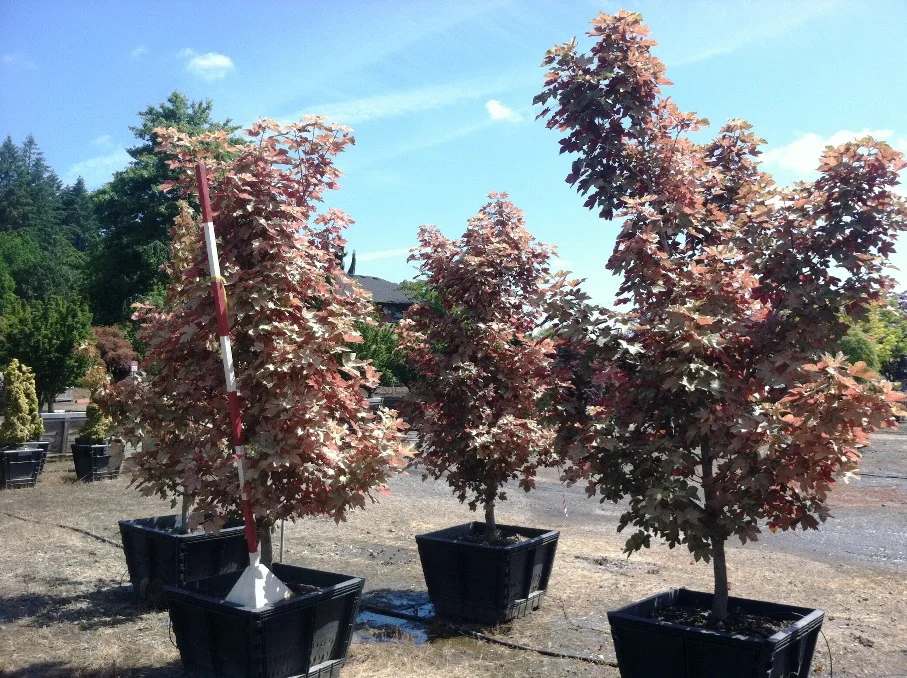 Photo Tour — Jaycee Newman, Inc.