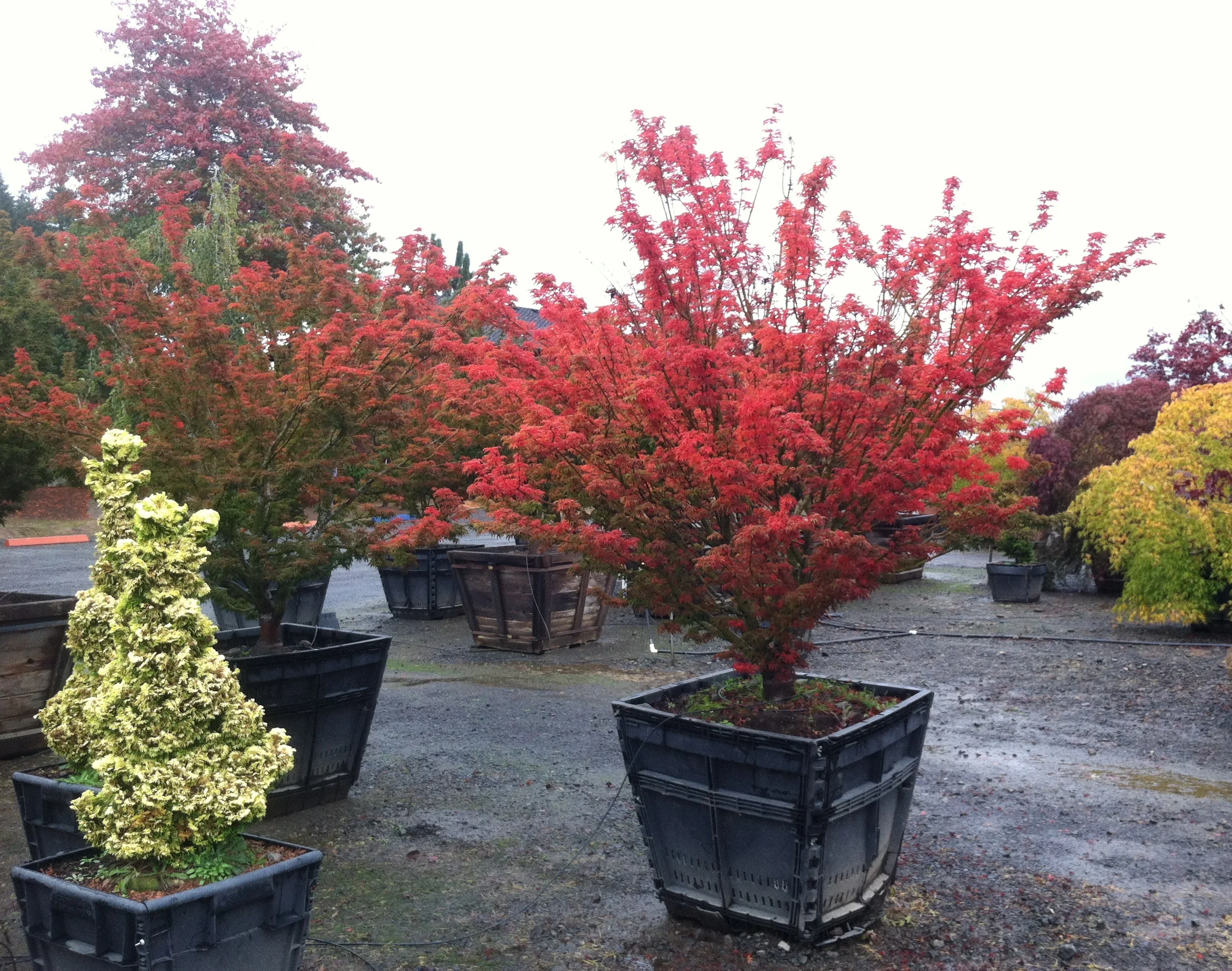 Photo Tour — Jaycee Newman, Inc.