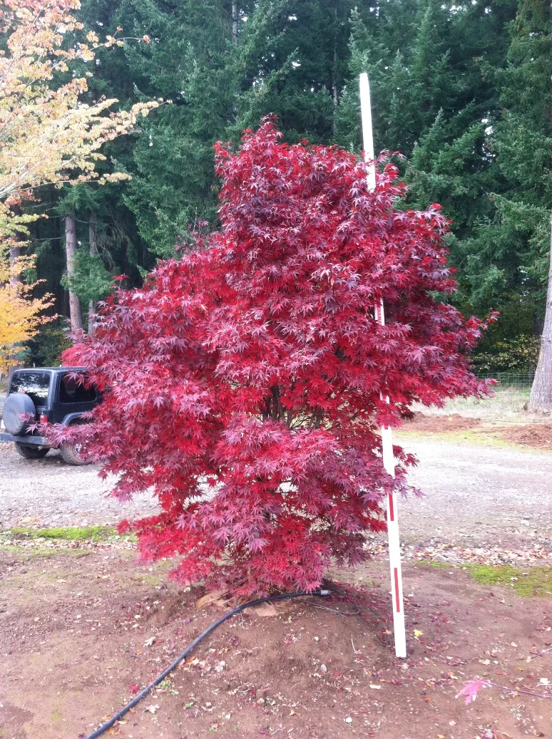 Photo Tour — Jaycee Newman, Inc.