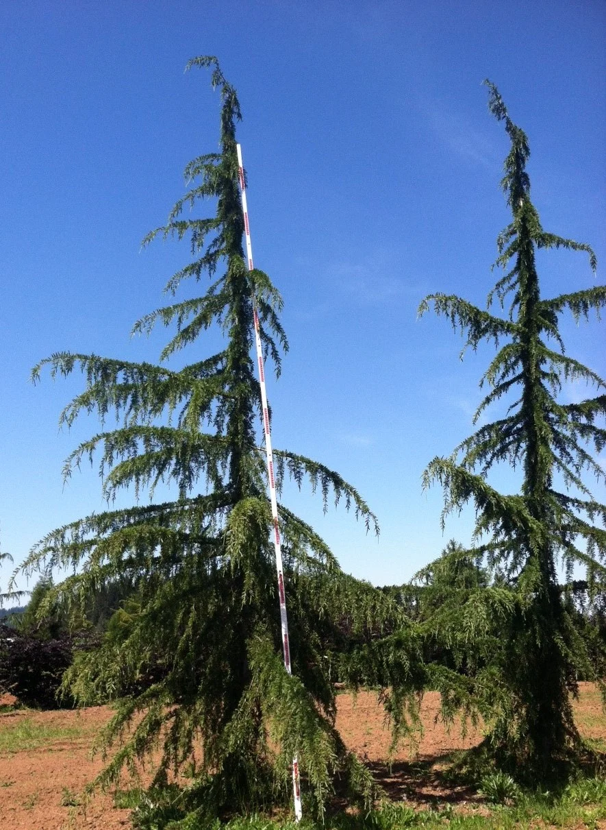 Photo Tour — Jaycee Newman, Inc.