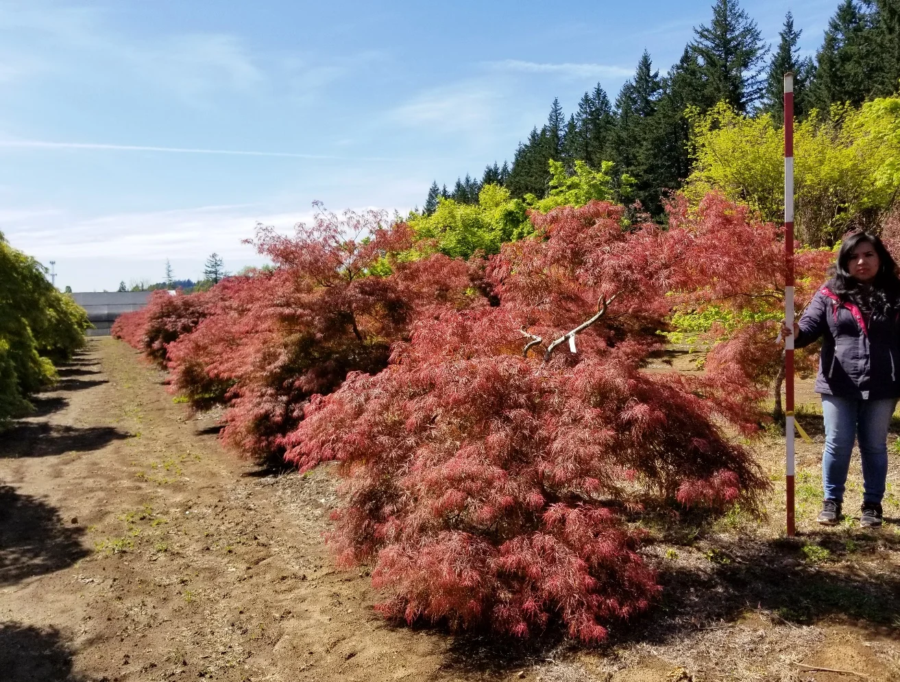 Photo Tour — Jaycee Newman, Inc.