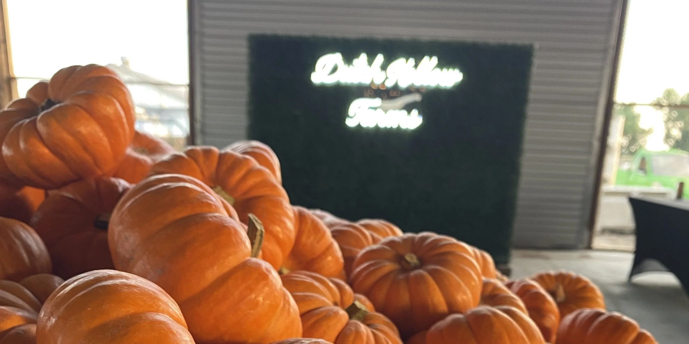 Dutch Hollow Farms