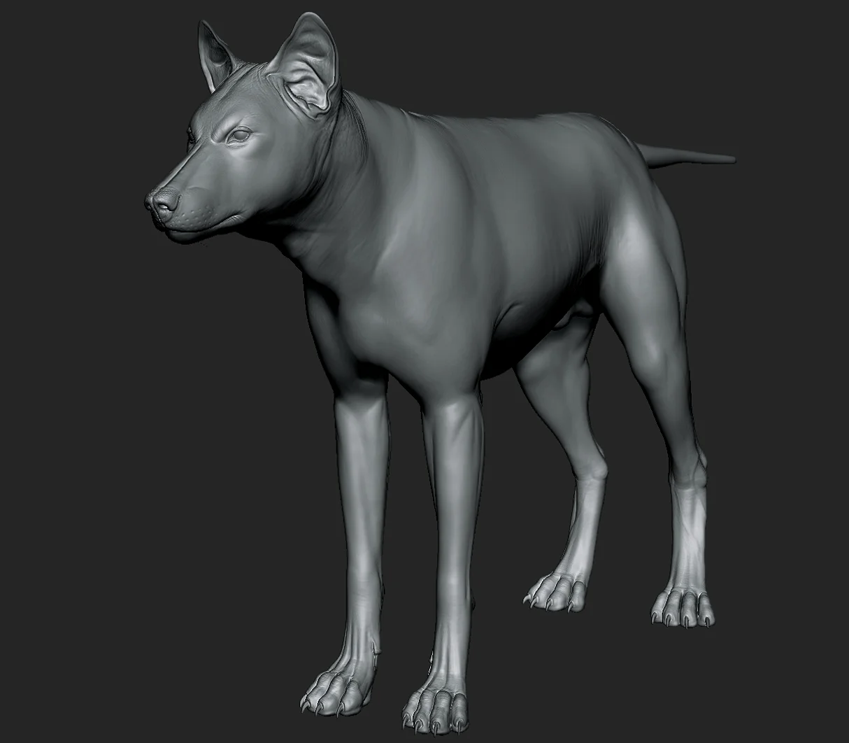 THE GREY — MATHIEU AERNI