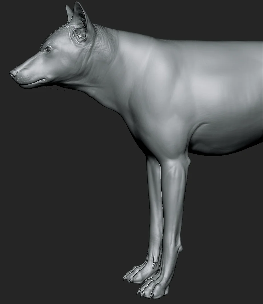 THE GREY — MATHIEU AERNI