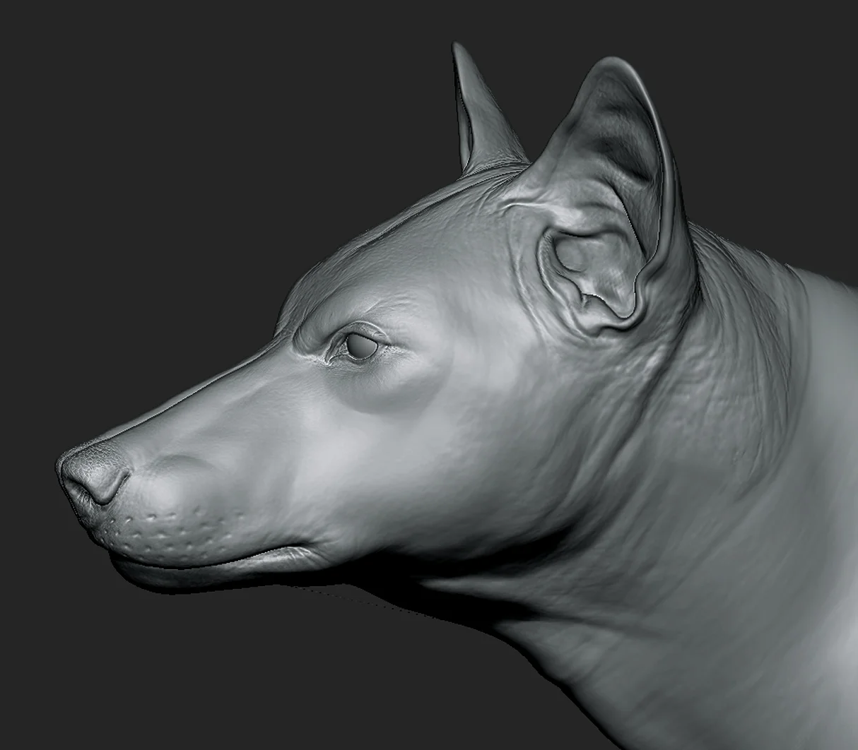 THE GREY — MATHIEU AERNI