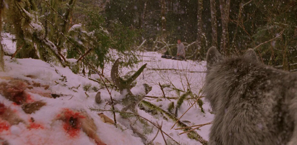The Grey Movie Wolf