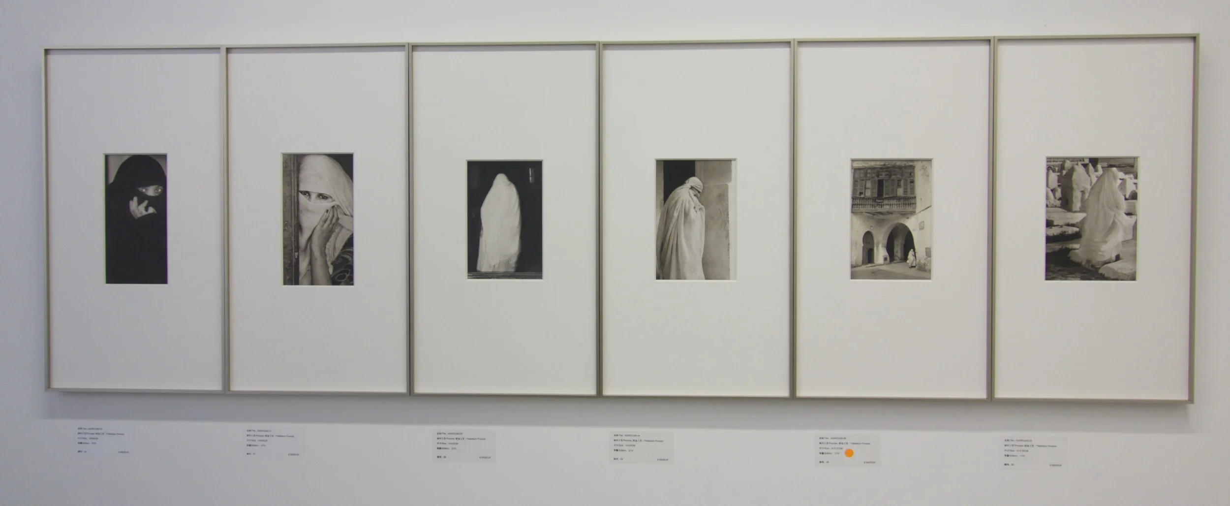 Jean-Claude Mougin's Palladium Photography — Dr Marcus Schütz