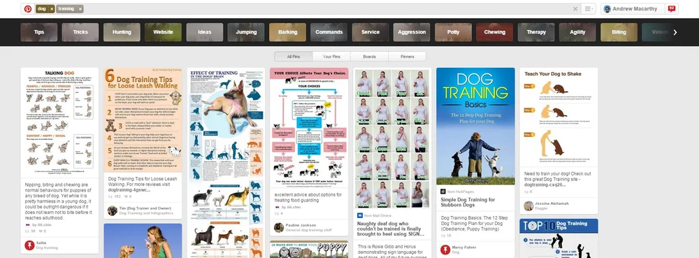5 Ways to Use Pinterest Guided Search to Increase Exposure For Business ...