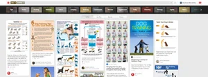 5 Ways to Use Pinterest Guided Search to Increase Exposure For Business ...