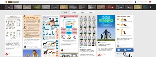 5 Ways to Use Pinterest Guided Search to Increase Exposure For Business ...