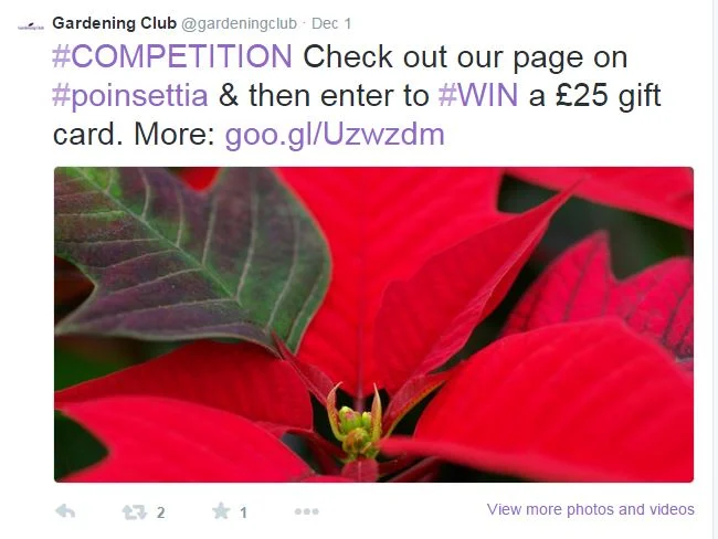 5 Holiday-Themed Social Media Contest Ideas to Attract Customers ...