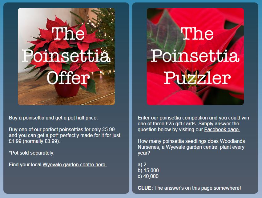 5 Holiday-Themed Social Media Contest Ideas to Attract Customers ...