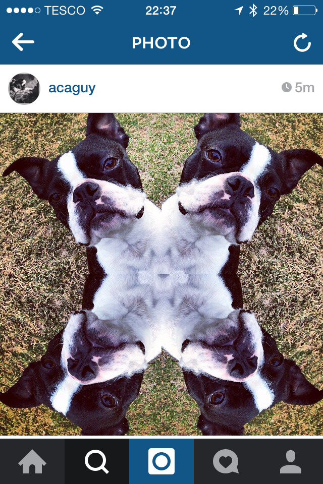 NEW Layout App by Instagram: Tips, Tricks, and Inspiration — Andrew ...