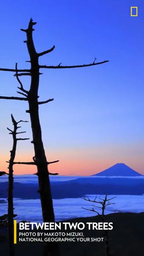 7 Tips to Help You Record Amazing Vertical Video For Social Media (With ...