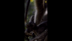 7 Tips to Help You Record Amazing Vertical Video For Social Media (With ...