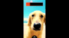 7 Tips to Help You Record Amazing Vertical Video For Social Media (With ...