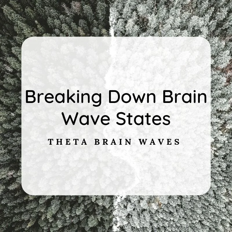 Theta Brain State