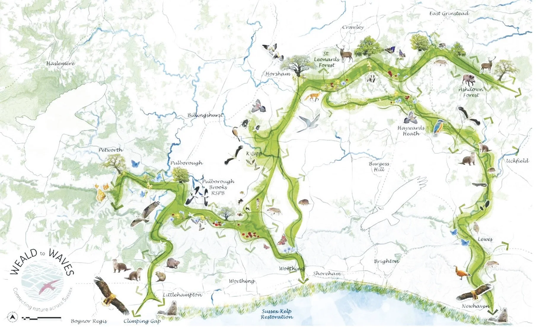 Greener Cuckfield and the Weald to Waves project — Cuckfield Life - the ...