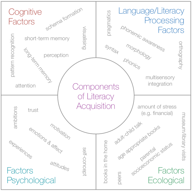 The Component Model of Reading Development — The Literacy Bug