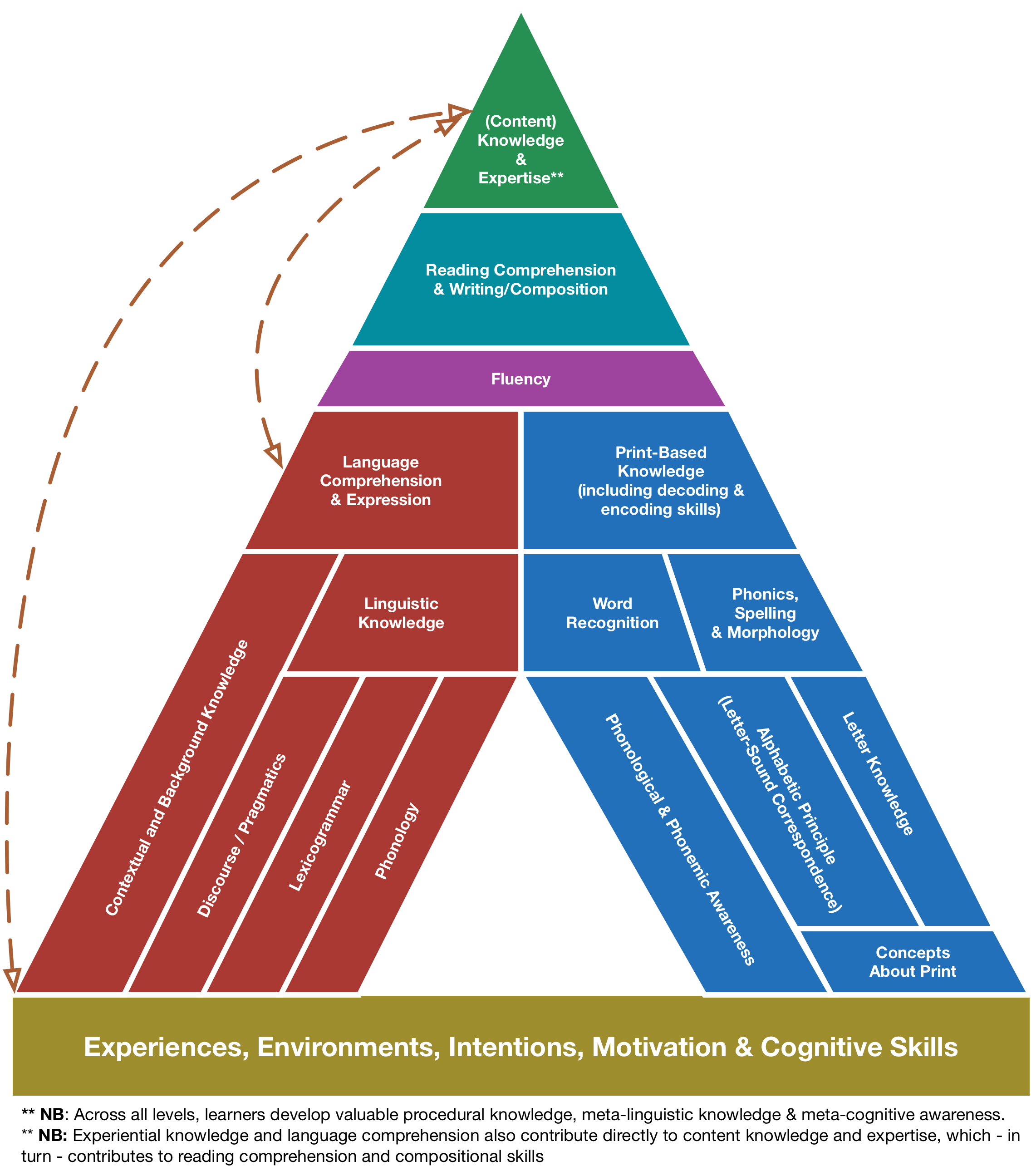 Developing Constrained Skills The Literacy Bug Developing Constrained Skills The Literacy Bug