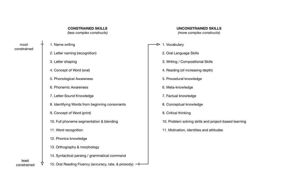 Developing Constrained Skills — The Literacy Bug